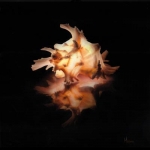 Stephen Muldoon Art for Sale | Wyland Gallery Sarasota & Key West