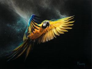 Wyland Galleries of the Florida Keys | Wyland Key West & Wyland Sarasota