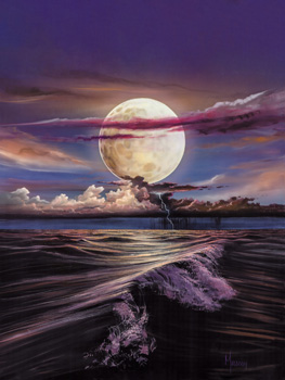 Stephen Muldoon Art | Wyland Gallery Sarasota